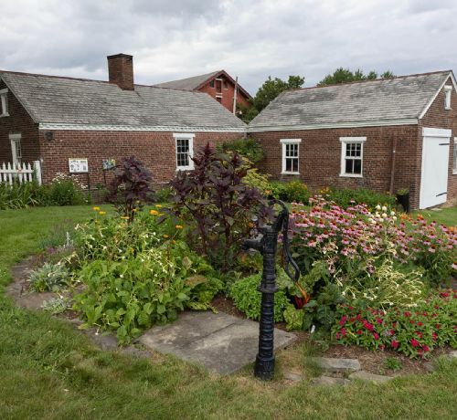 The Grounds