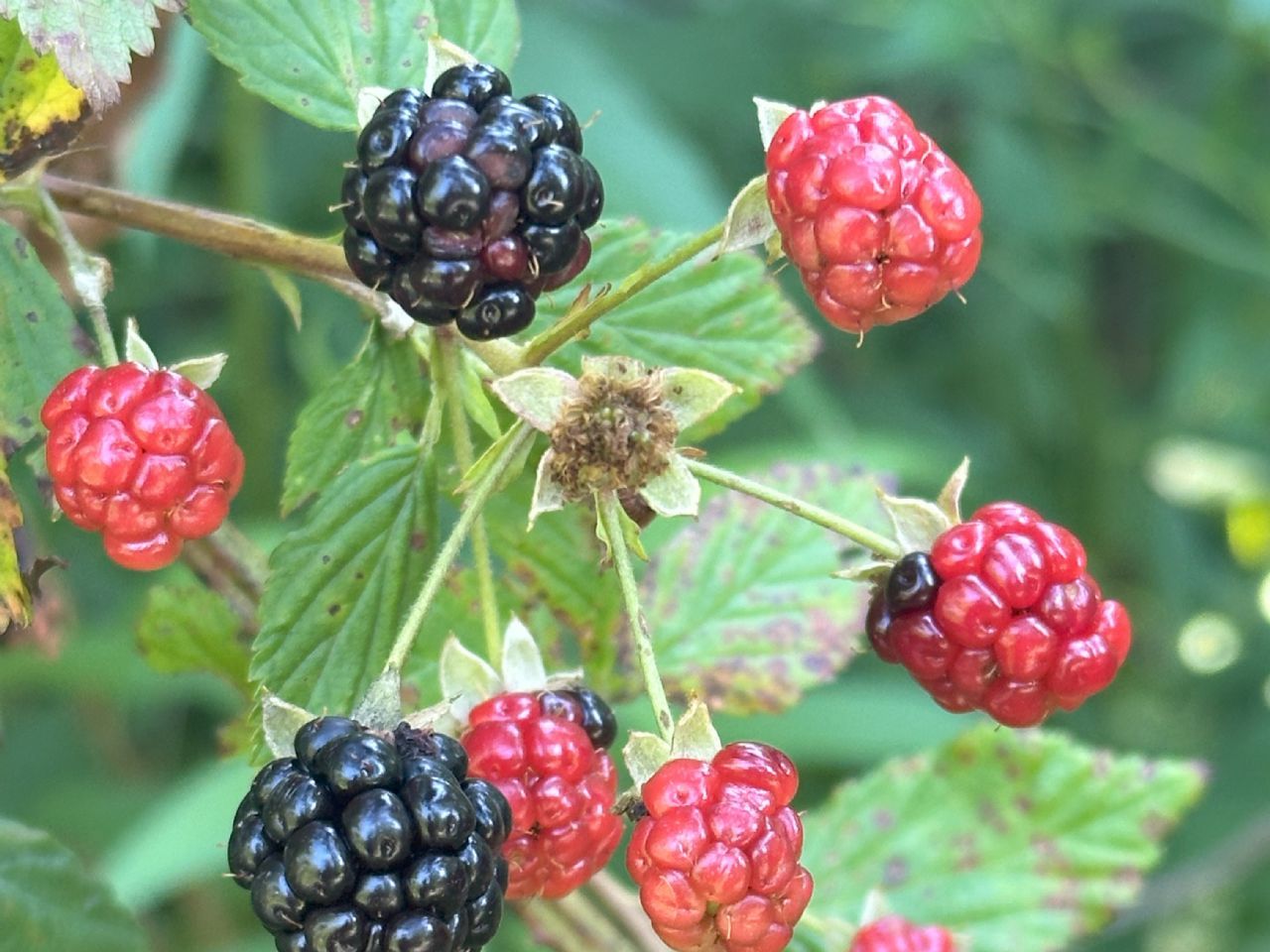 Events | West Overton Village