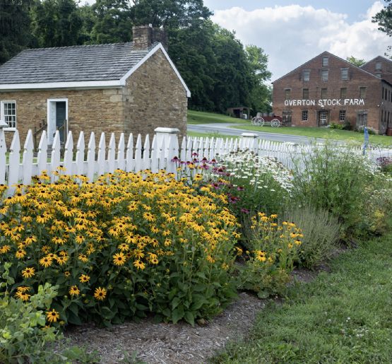 Home | West Overton Village