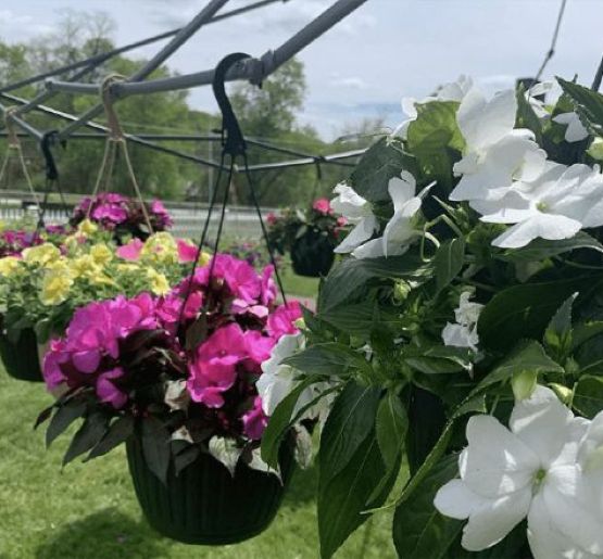 Home | West Overton Village