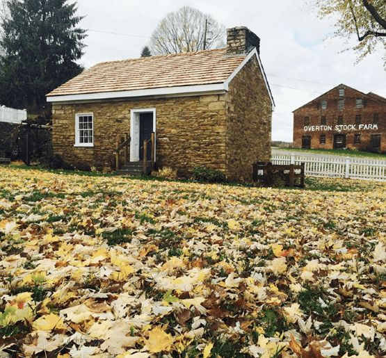 Home | West Overton Village